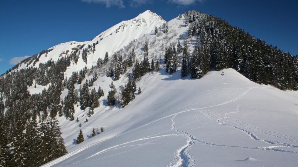 Ski Season Magic Pass | By Mrs. Miggins